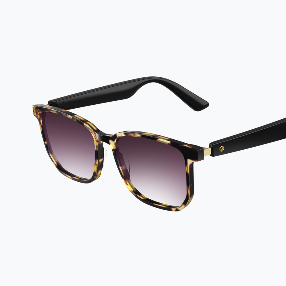 Your Everyday Smart Glasses